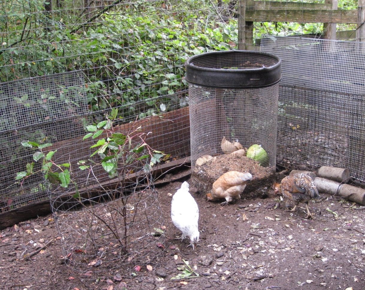 DIY Project: Compost Bin – Bitchin' Chickens