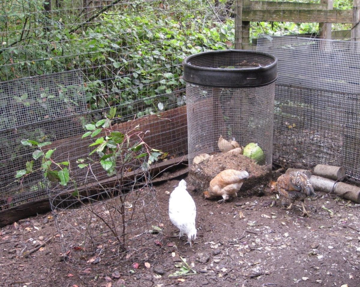 DIY Project: Compost Bin – Bitchin' Chickens