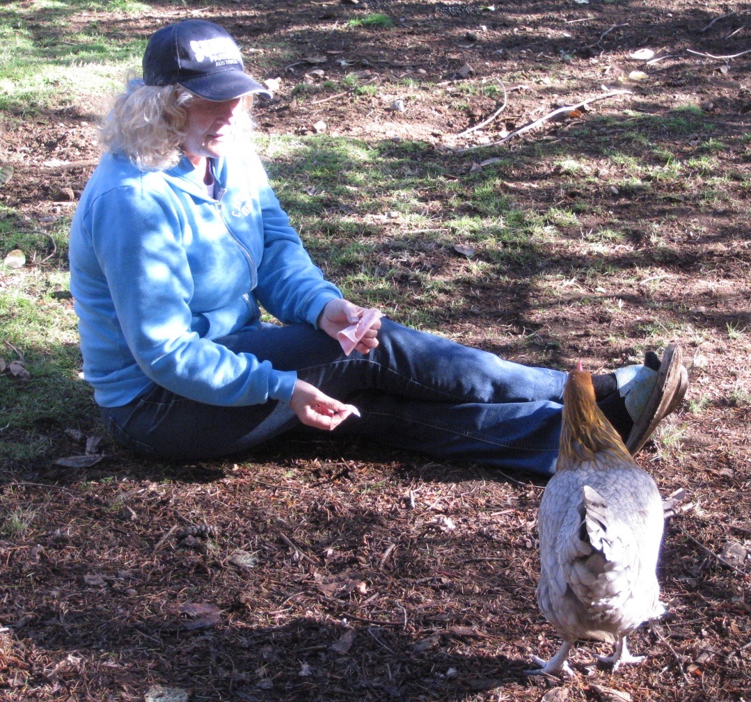 Laurie & Terry – Bitchin' Chickens