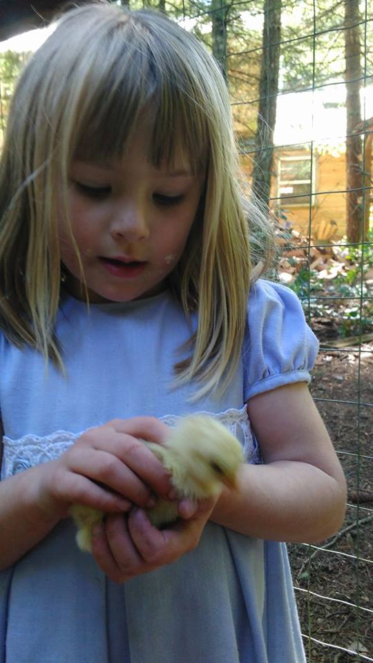 Heather & Paul: Full House – Bitchin' Chickens