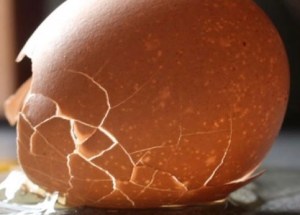 Weird Eggs 101: The Oddities Explained (Or What’s A Fart Egg ...