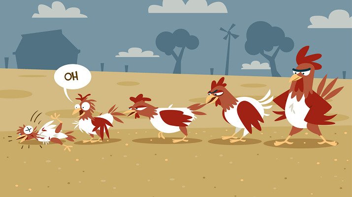 Understanding The Pecking Order – Bitchin' Chickens