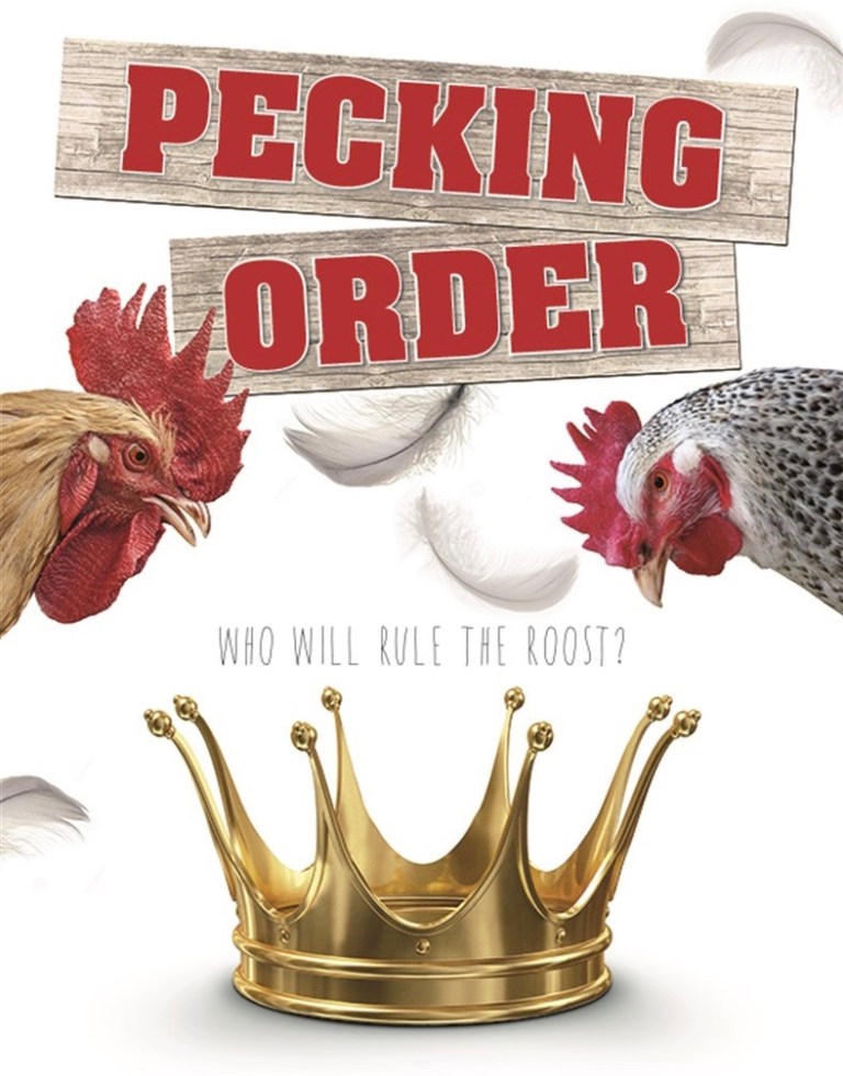 Understanding The Pecking Order – Bitchin' Chickens