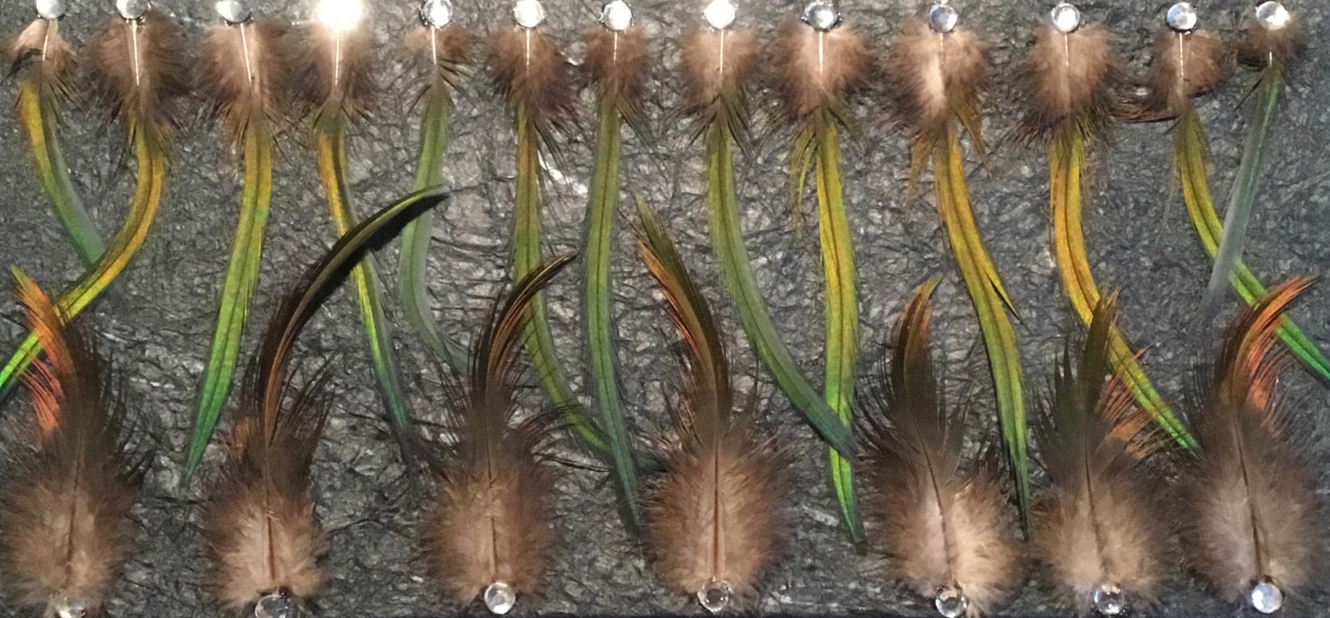 Chicken Feathers 101 – Bitchin' Chickens