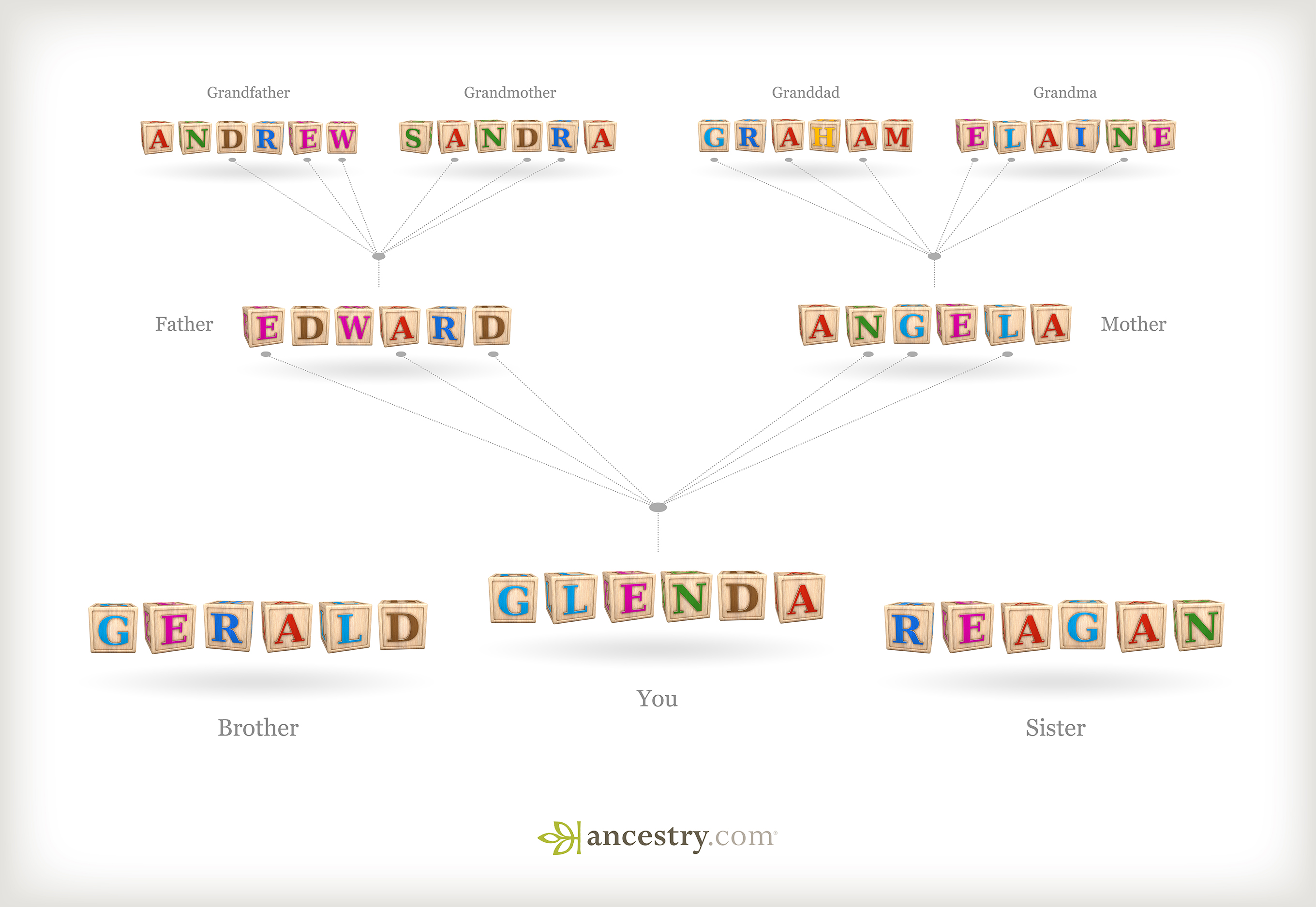 Chicken Genetics: The Basics – Bitchin' Chickens