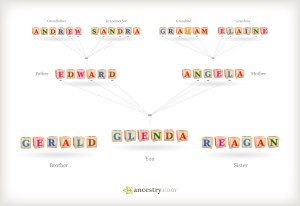 Chicken Genetics: The Basics – Bitchin' Chickens