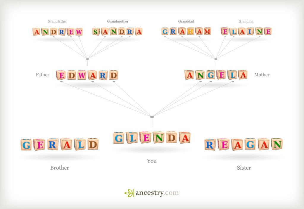 Chicken Genetics: The Basics – Bitchin' Chickens