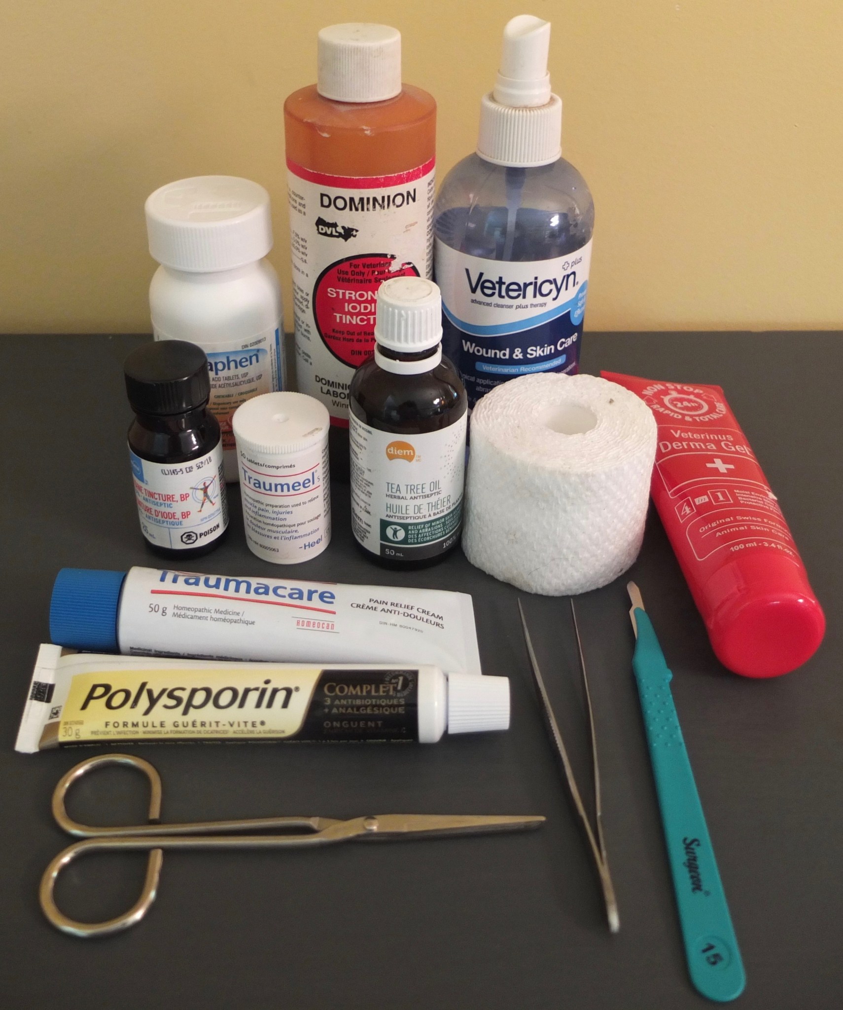 Wound Care For Chickens – Bitchin' Chickens