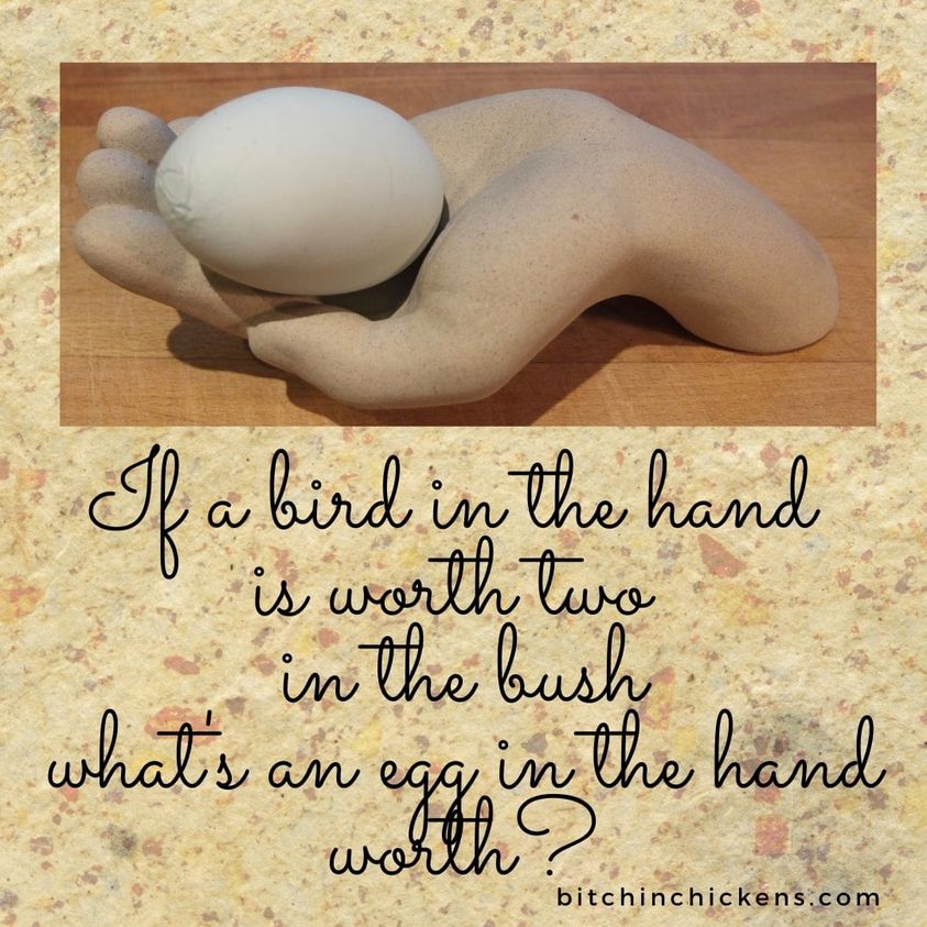 Bitchin’ Chicken Memes: 1 – Bitchin' Chickens