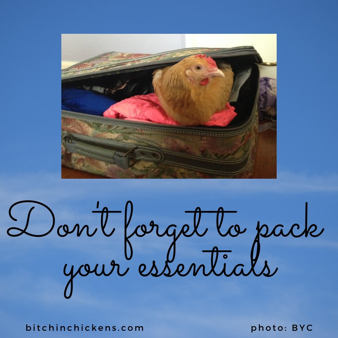 Bitchin’ Chicken Memes: 1 – Bitchin' Chickens