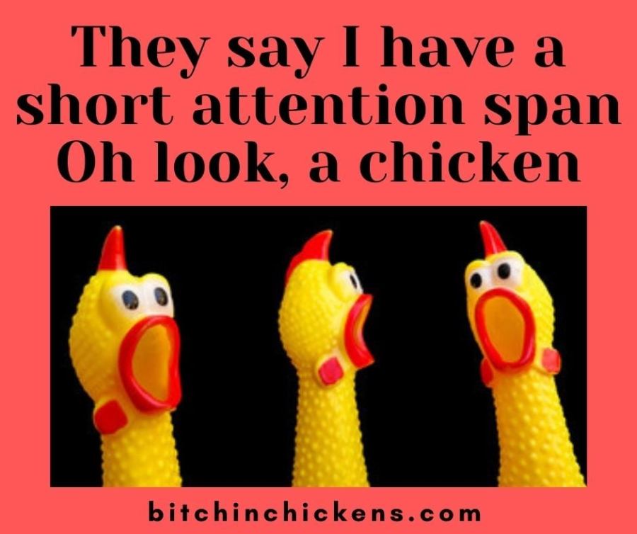 Bitchin’ Chickens Memes: 3 – Bitchin' Chickens