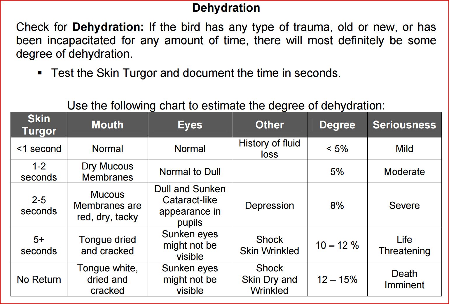 Dealing With Dehydration In Chickens – Bitchin' Chickens