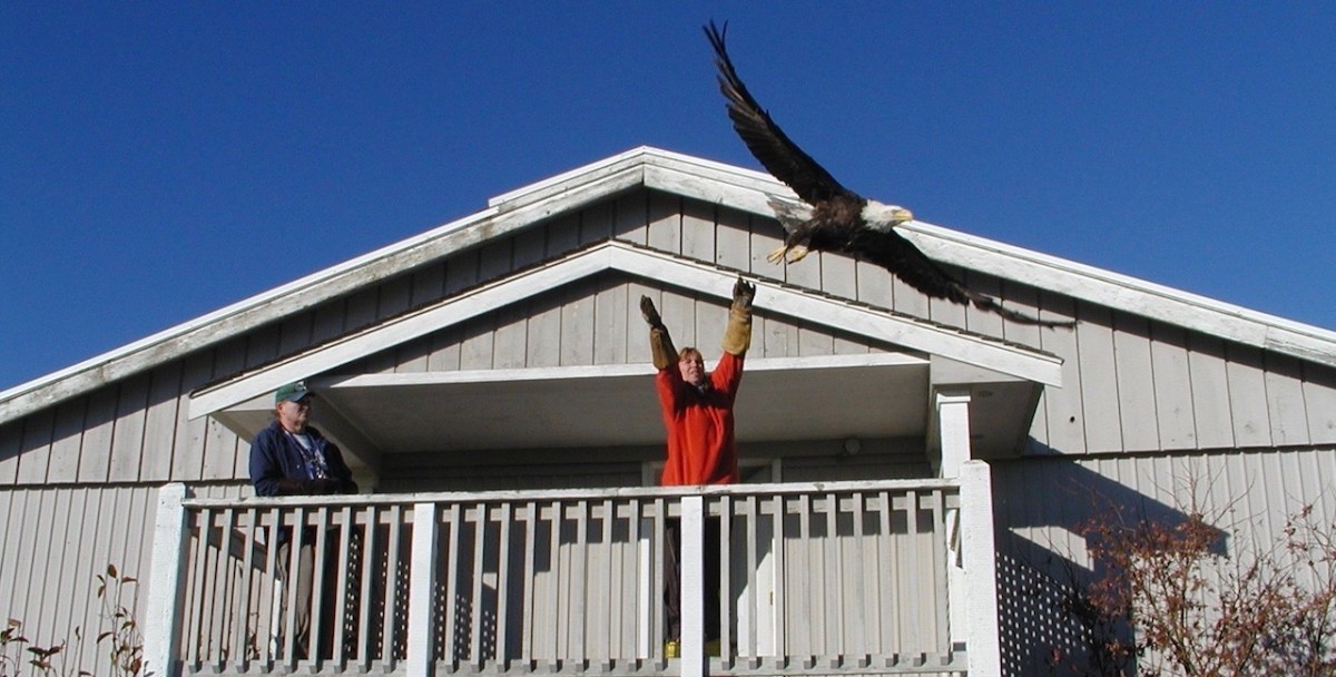 Val: Animal Lover – Bitchin' Chickens