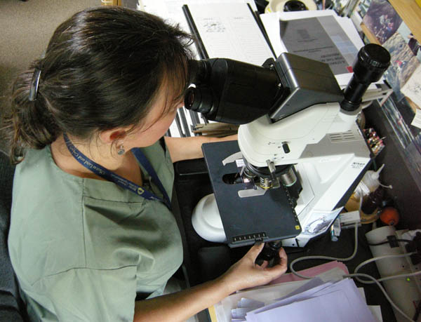 Vicki: Rockstar Of The Poultry World – Bitchin' Chickens