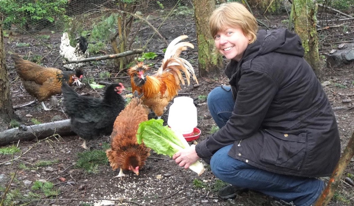 Checklist For Chicken Sitters – Bitchin' Chickens