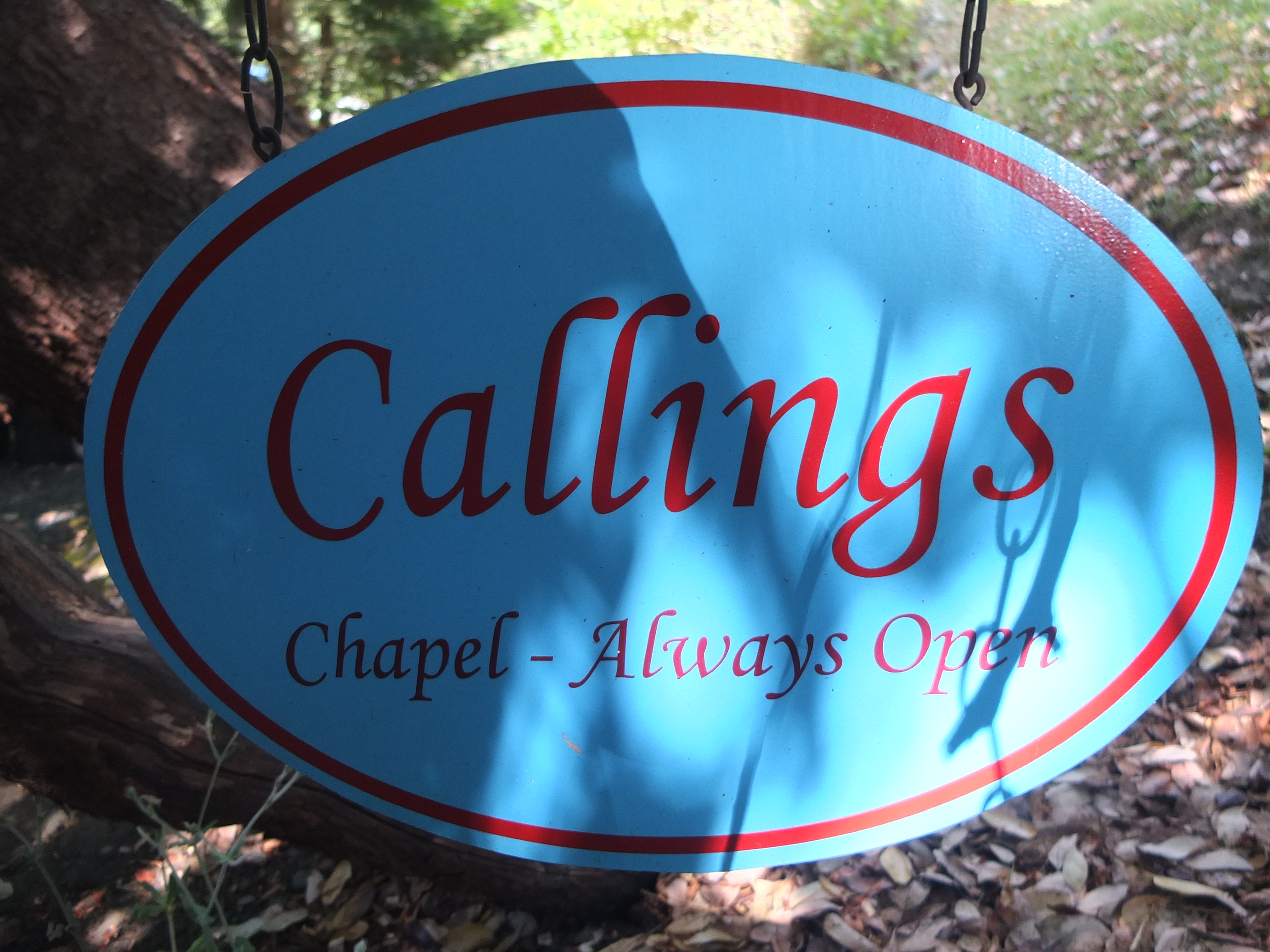 Gai: On A Quest For Meaning – Bitchin' Chickens