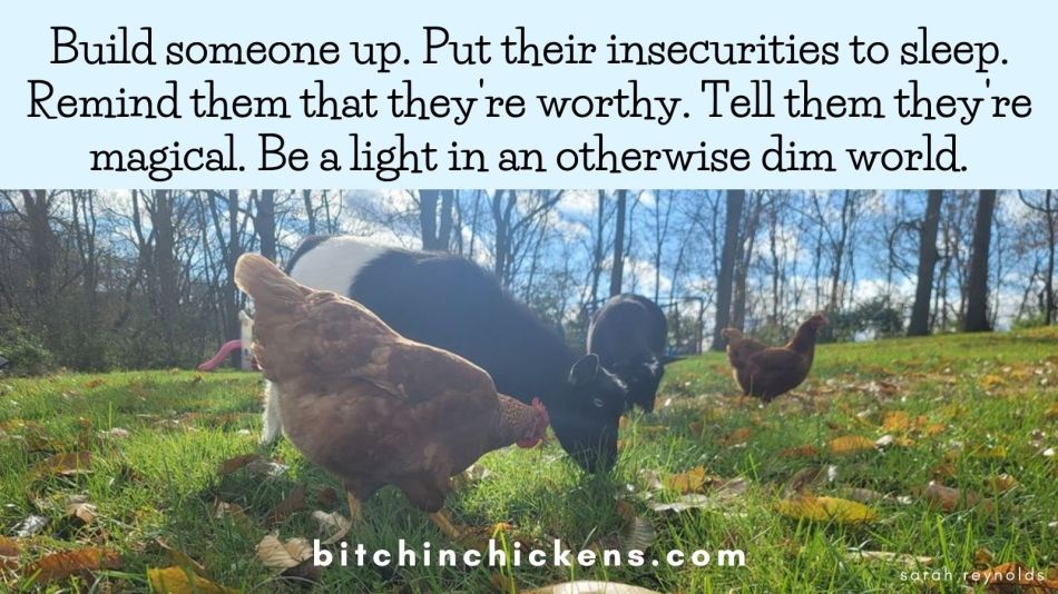 Bitchin’ Chicken Memes: 13 – Bitchin' Chickens