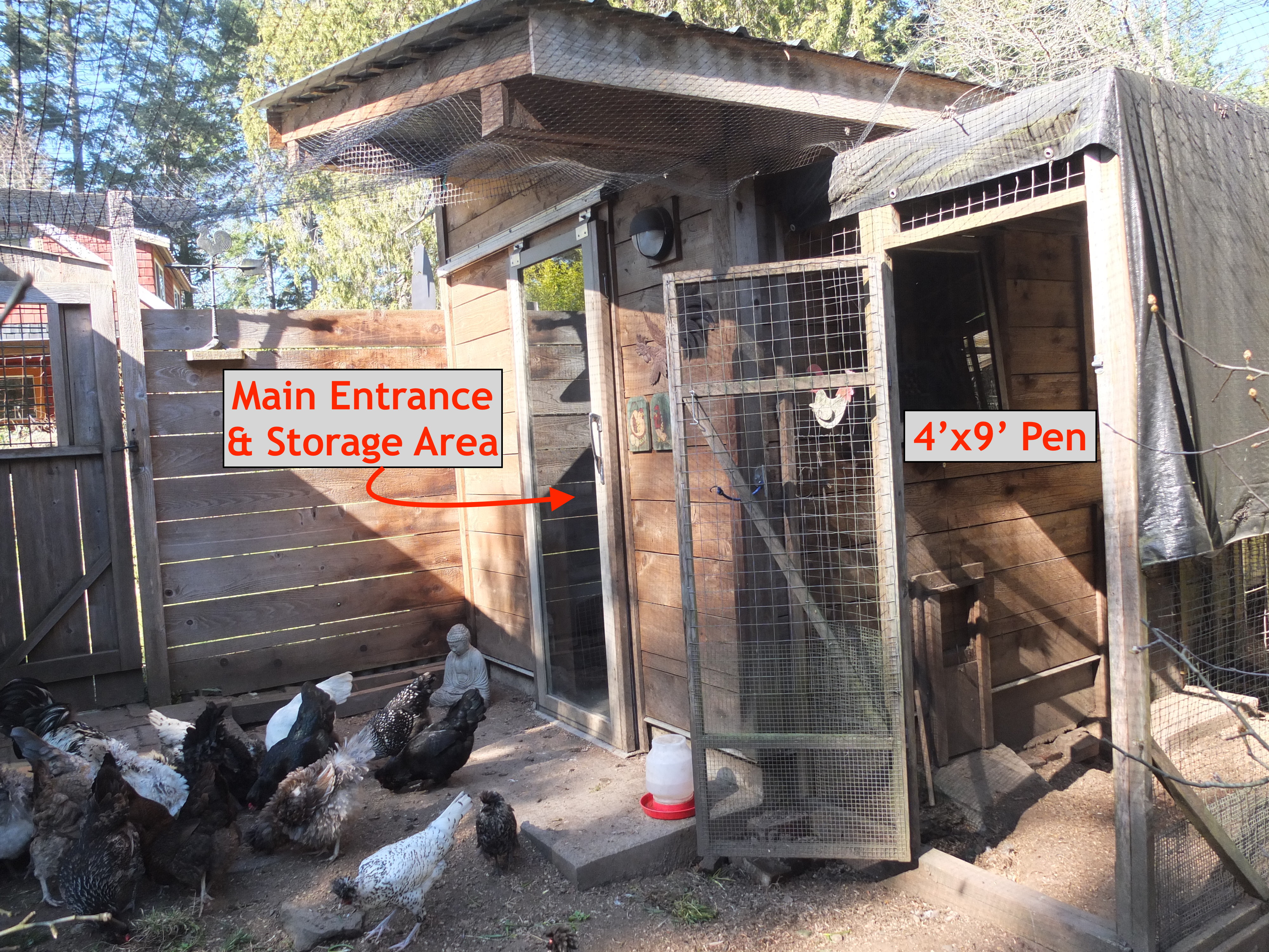 The Case Of The Missing Hen – Bitchin' Chickens