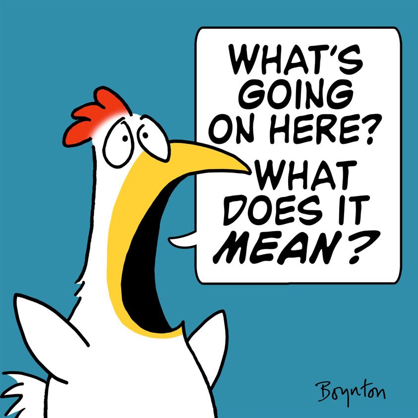 DIY Chicken Doctor: How To Help Your Avian Patient – Bitchin' Chickens