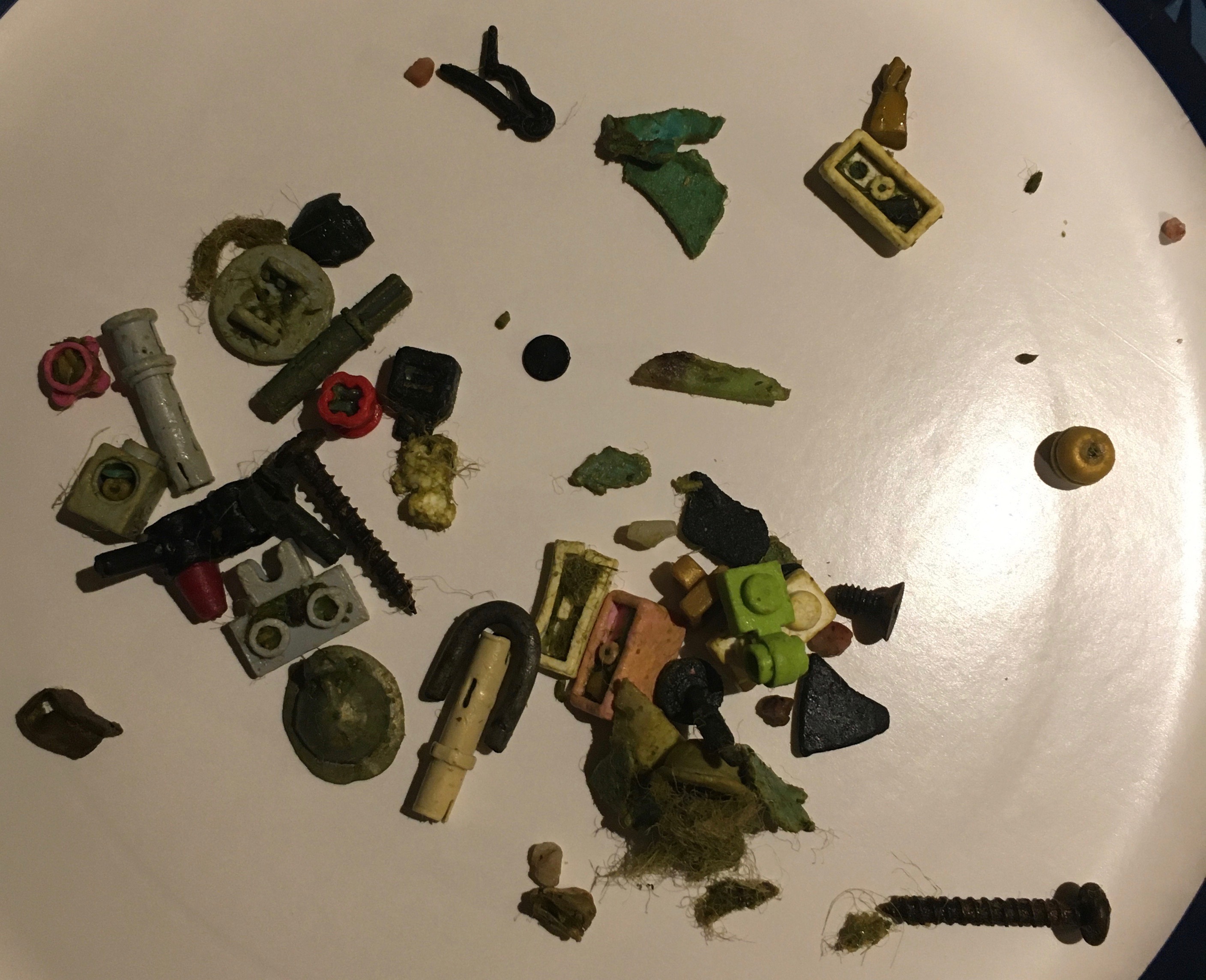 Case Study: Pica Eating Disorder – Bitchin' Chickens