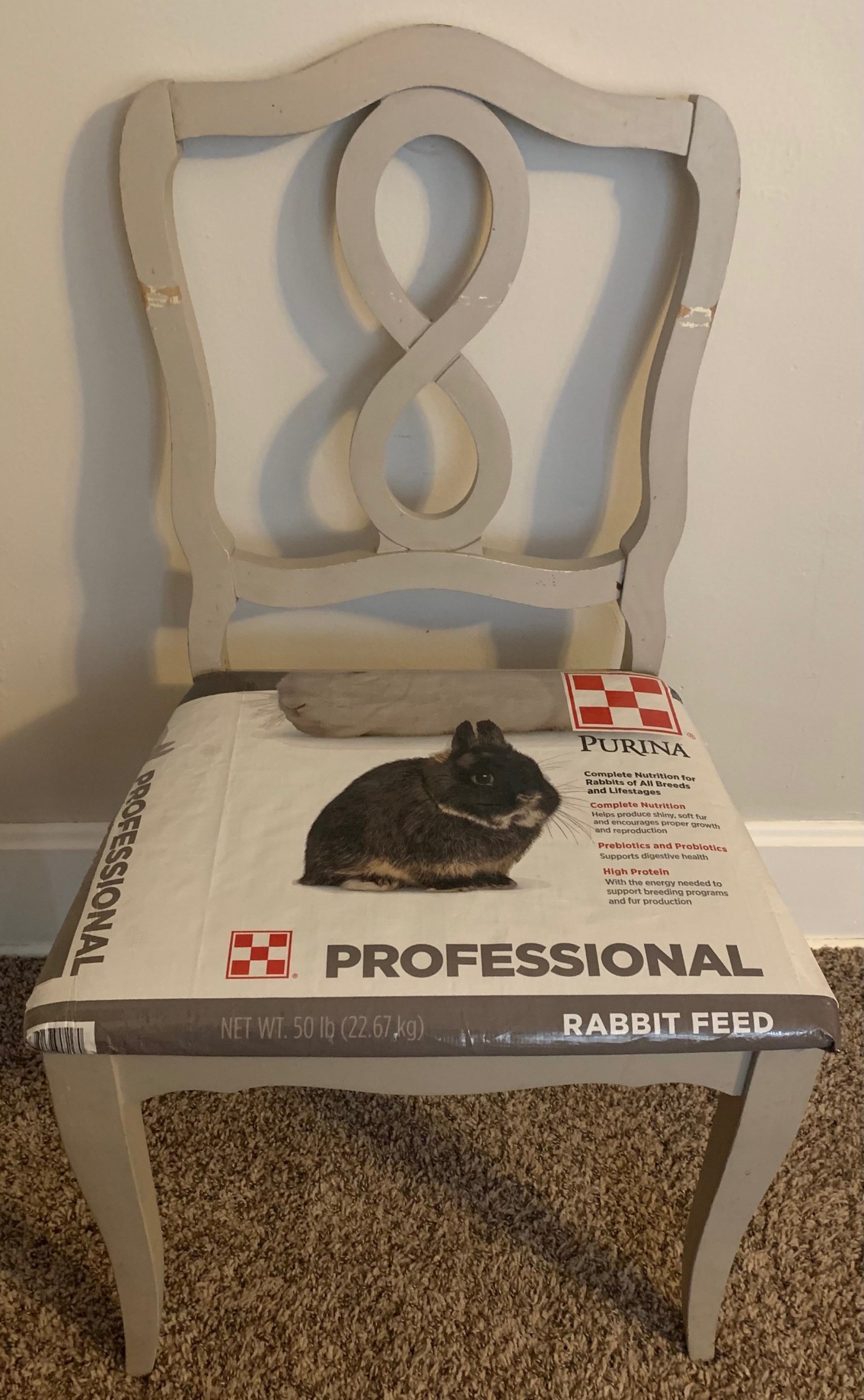 DIY Upcycled Feed Bag Projects – Bitchin' Chickens