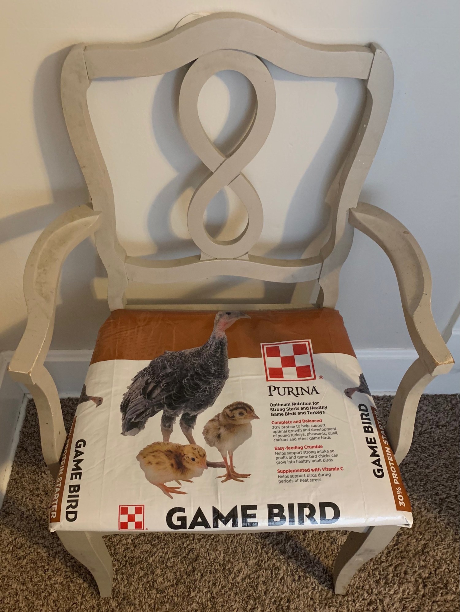 DIY Upcycled Feed Bag Projects – Bitchin' Chickens