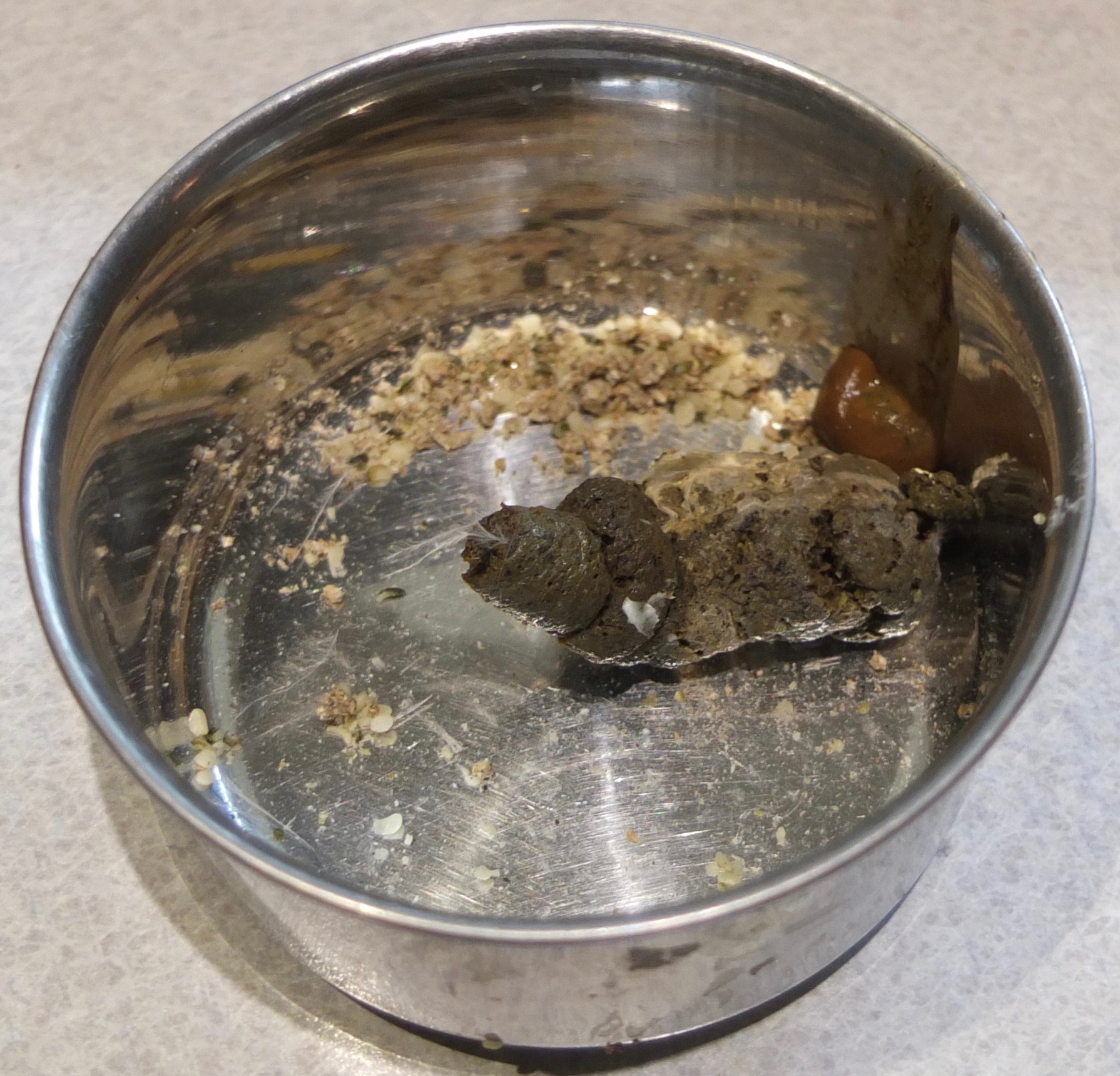 Case Study: Vent Gleet – Bitchin' Chickens