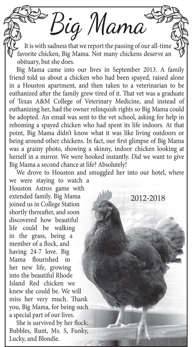 Chicken Obituaries & Eulogies – Bitchin' Chickens