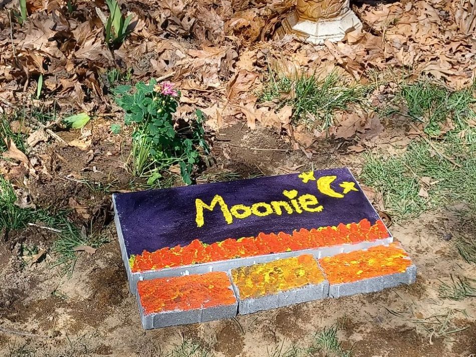 Chicken Obituaries & Eulogies – Bitchin' Chickens