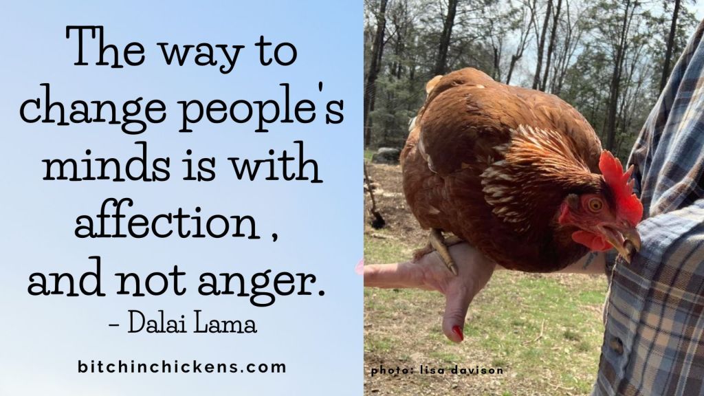The Problem With PETA: When Activism Does Harm – Bitchin' Chickens