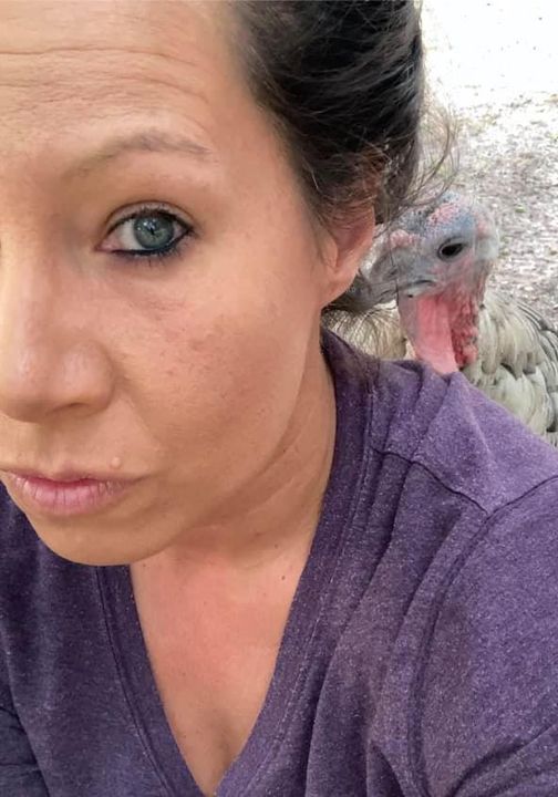The Poultry Princess: Henopause – Bitchin' Chickens