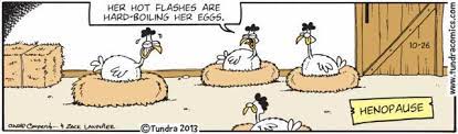 The Poultry Princess: Henopause – Bitchin' Chickens