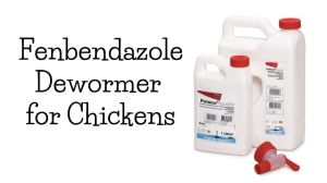 Fenbendazole: Dewormer For Chickens – Bitchin' Chickens