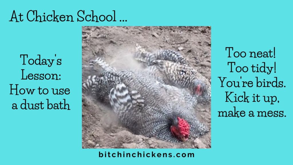 Bitchin’ Chickens Memes: 22 – Bitchin' Chickens