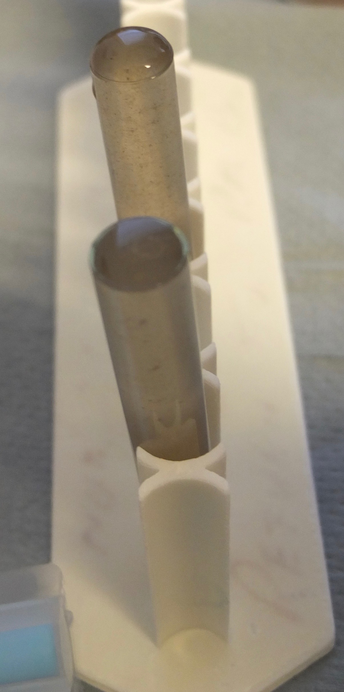 Fecal Float Testing: On The Hunt For Chicken Parasites – Bitchin' Chickens