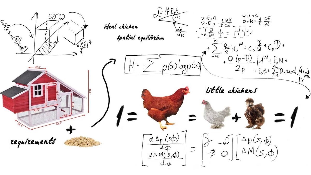 The Funny Farm: Chicken Math Is Educational – Bitchin' Chickens