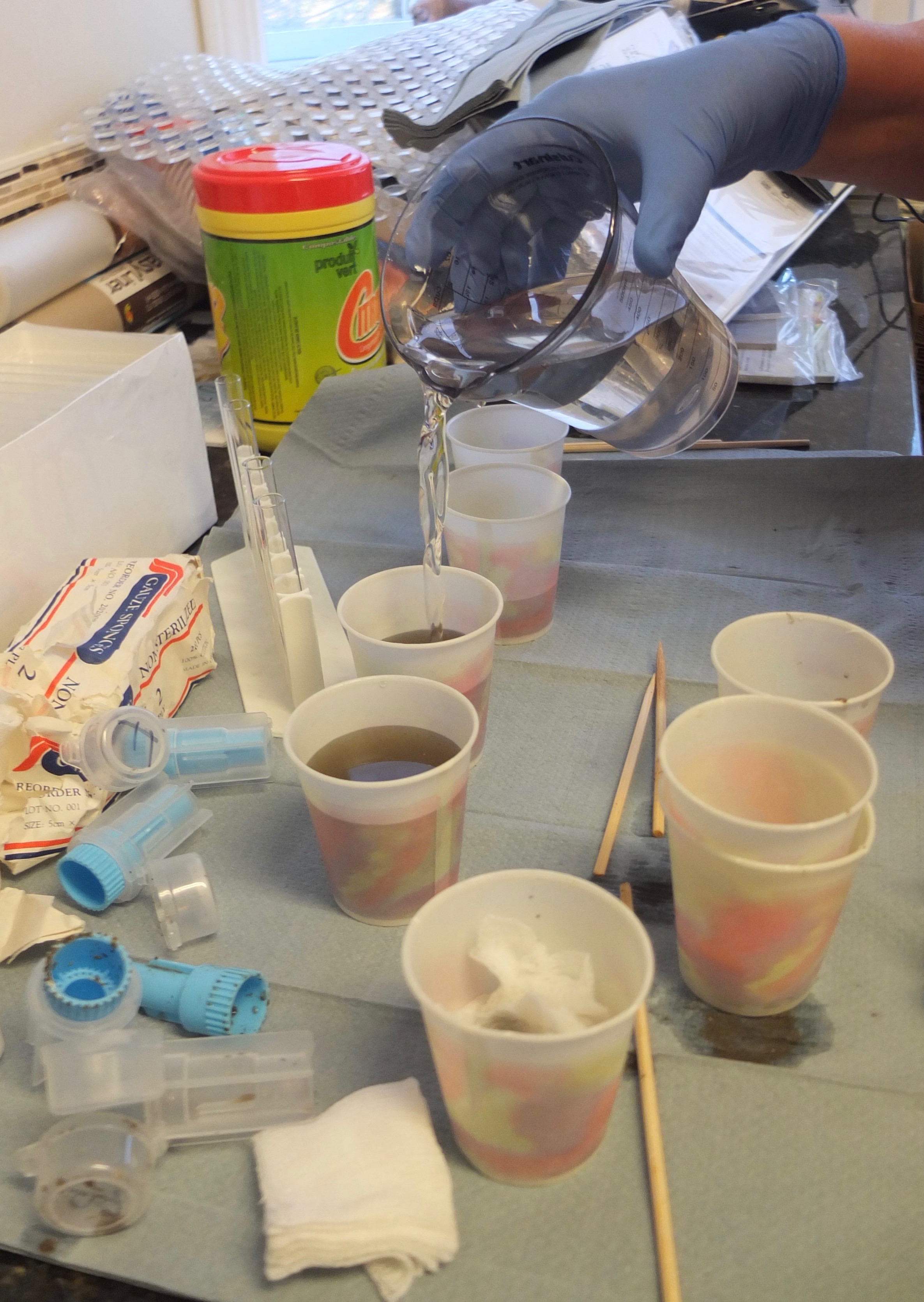 Fecal Float Testing: On The Hunt For Chicken Parasites – Bitchin' Chickens