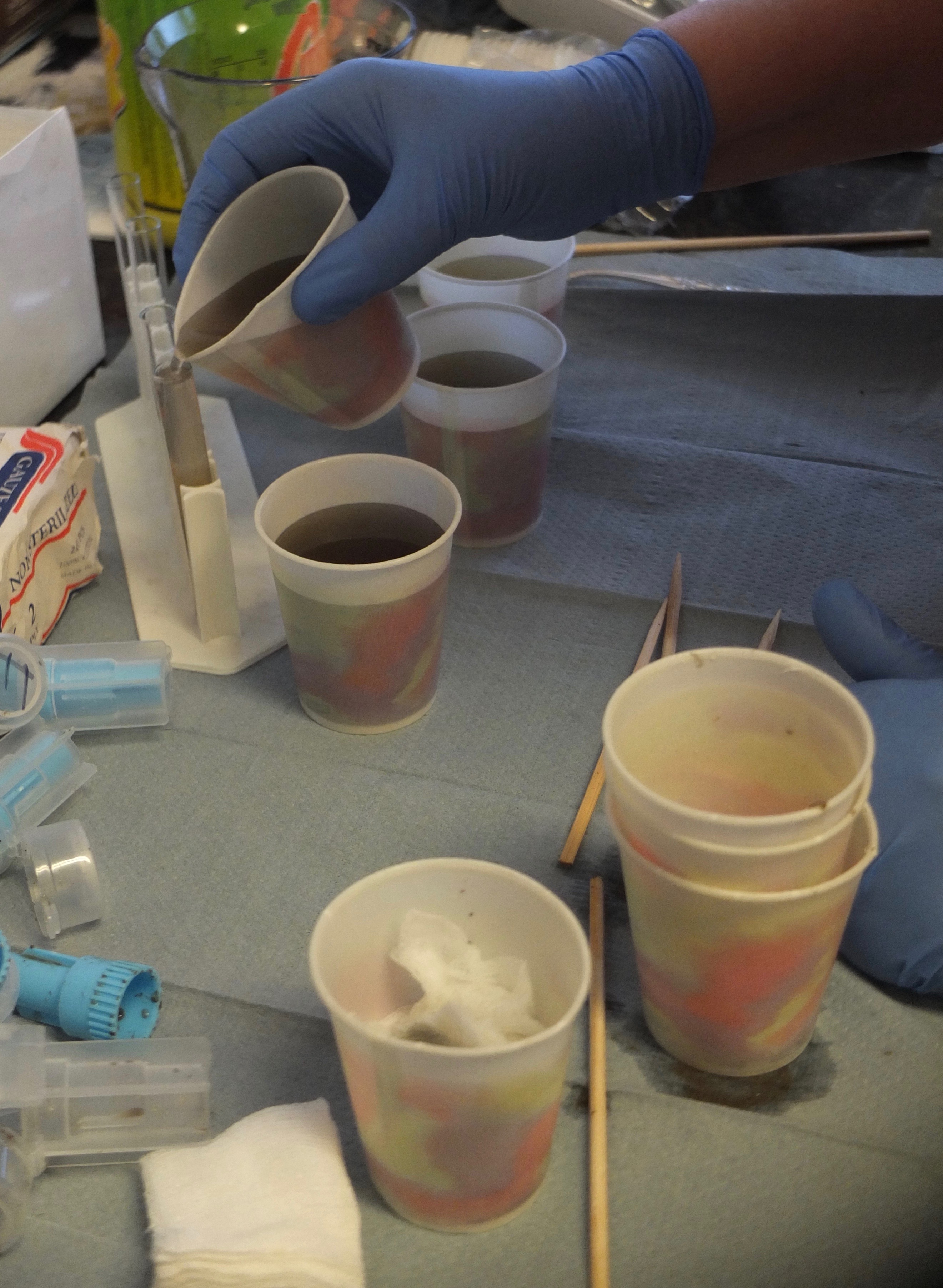 Fecal Float Testing: On The Hunt For Chicken Parasites – Bitchin' Chickens