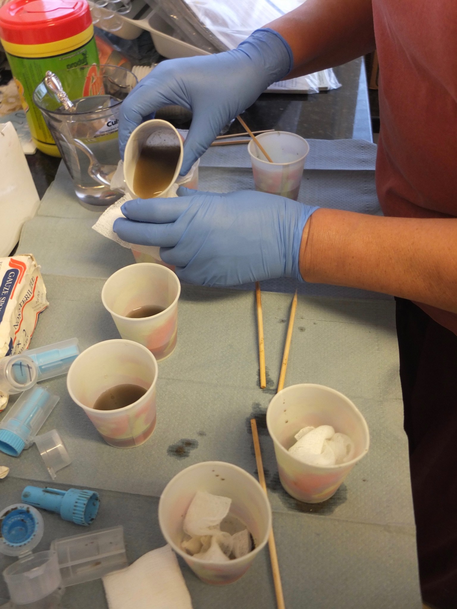 Fecal Float Testing: On The Hunt For Chicken Parasites – Bitchin' Chickens