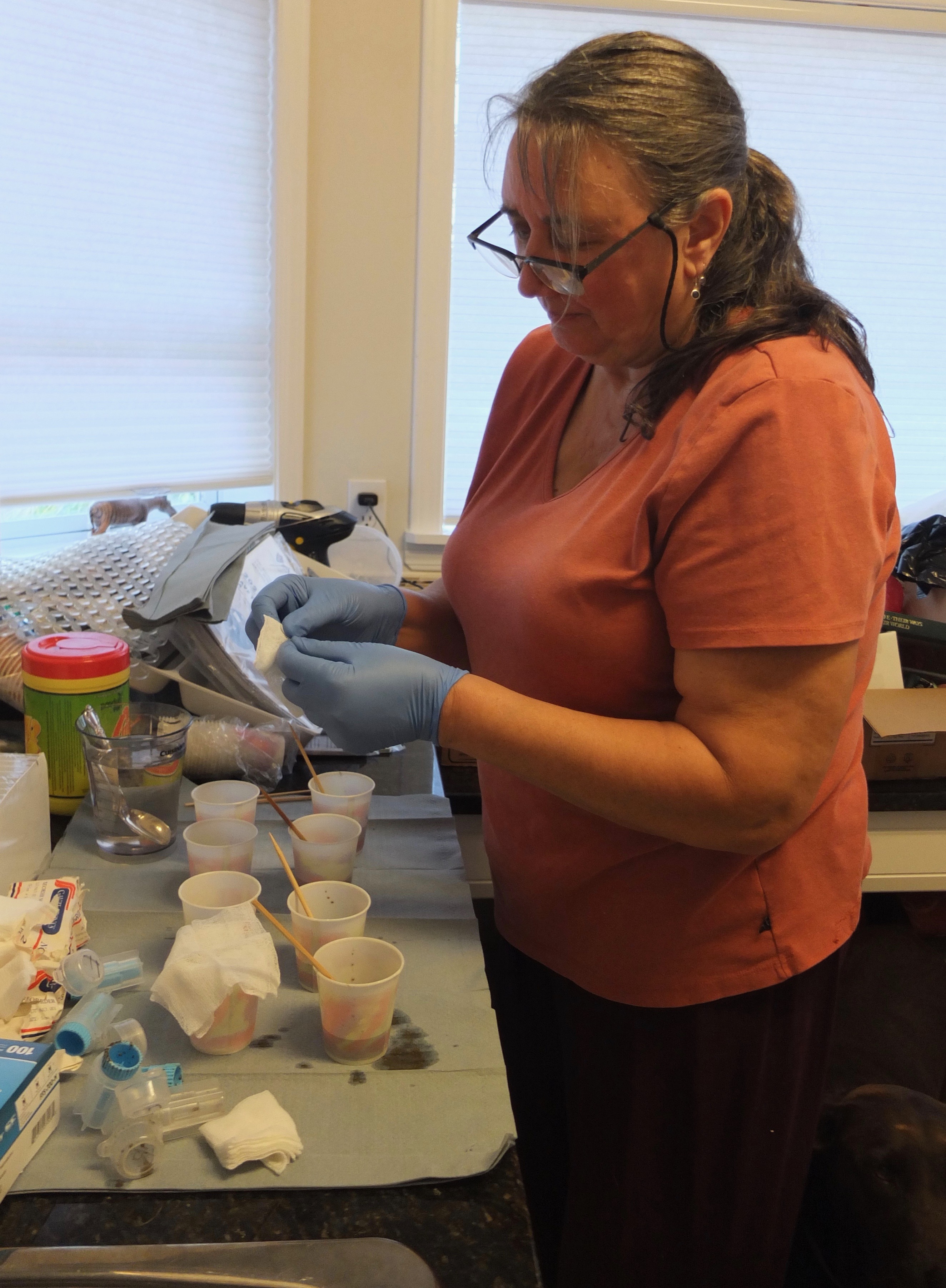 Fecal Float Testing: On The Hunt For Chicken Parasites – Bitchin' Chickens