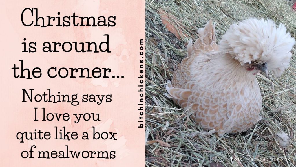 Bitchin’ Chickens Memes: 24 The Holiday Edition – Bitchin' Chickens