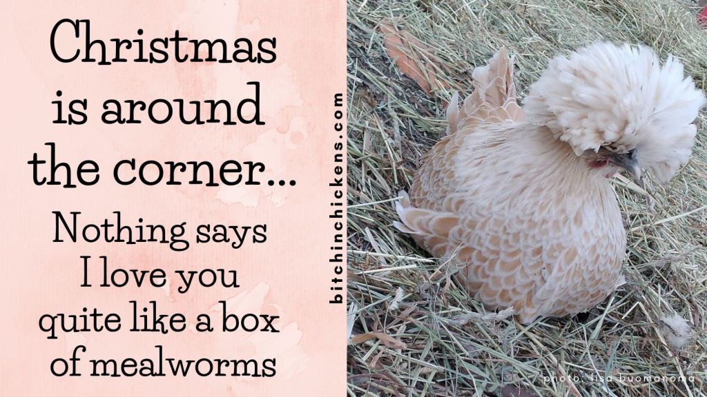 Bitchin’ Chickens Memes: 24 The Holiday Edition – Bitchin' Chickens