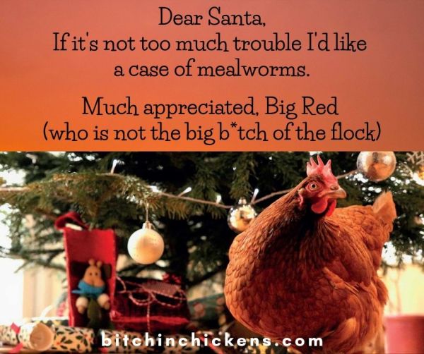 Bitchin’ Chickens Memes: 24 The Holiday Edition – Bitchin' Chickens