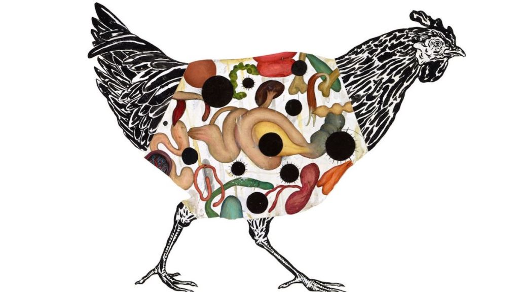 Fecal Float Testing: On The Hunt For Chicken Parasites – Bitchin' Chickens