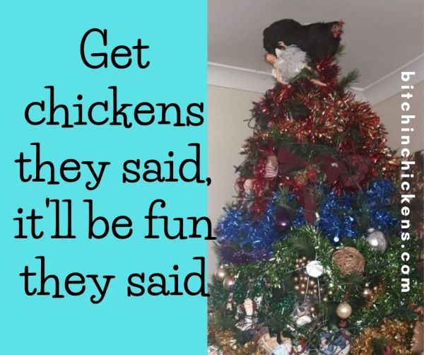 Bitchin’ Chickens Memes: 24 The Holiday Edition – Bitchin' Chickens