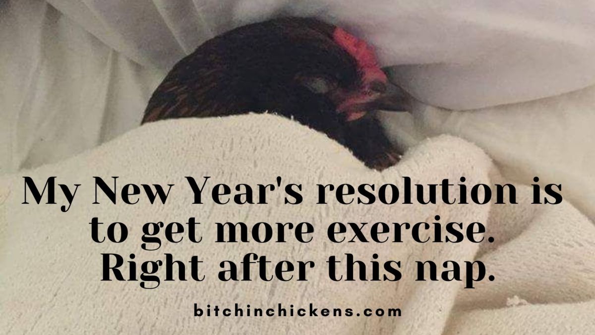 Bitchin’ Chickens Memes: 24 The Holiday Edition – Bitchin' Chickens