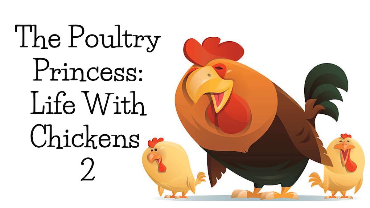The Poultry Princess: Life With Chickens 2 – Bitchin' Chickens