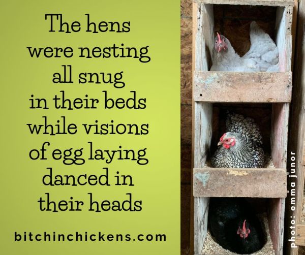 Bitchin’ Chickens Memes: 24 The Holiday Edition – Bitchin' Chickens
