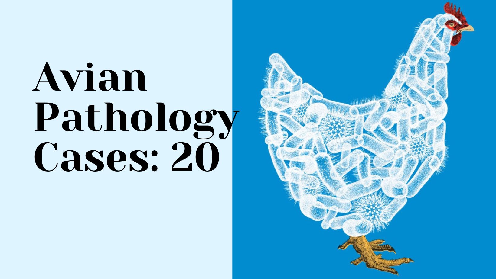 Avian Pathology Cases: 20 – Bitchin' Chickens