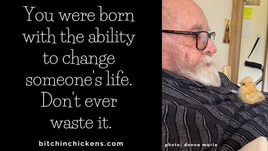 Bitchin’ Chickens Memes: 25 – Bitchin' Chickens